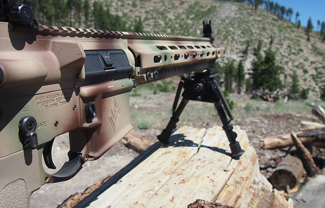Axelson Tactical's Limited Edition 'AXE' Special Purpose Rifle - Athlon ...