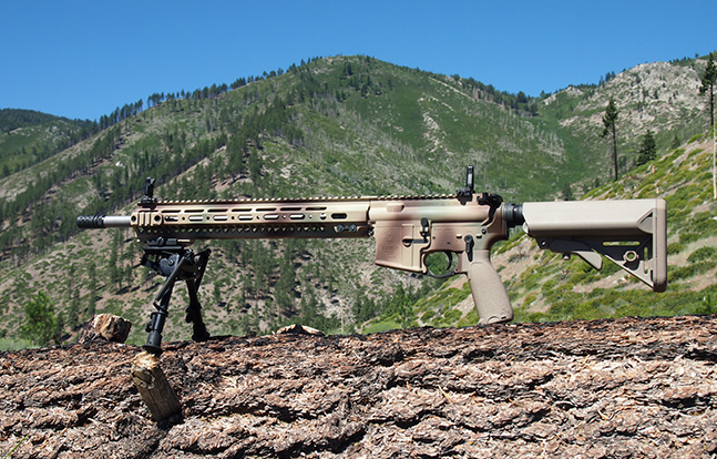 Axelson Tactical's Limited Edition 'AXE' Special Purpose Rifle - Athlon ...
