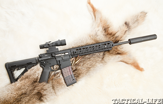 Long-Distance Coyote Control with Advanced Armament's MPW Carbine ...