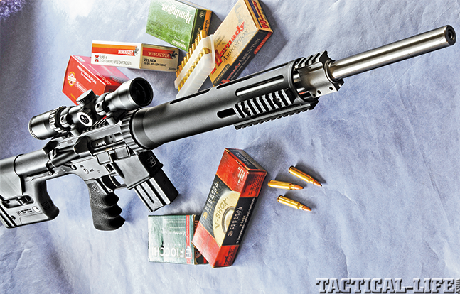 Gun Review: Armalite M-15A4TBN Varmint Hunter - Athlon Outdoors