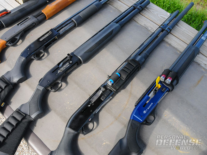 Action Shooting 101: Sharpen Your Skills While Having Fun