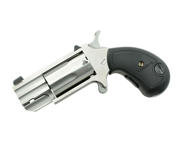 Gun Review: NAA Sidewinder with LaserLyte Mighty Mouse