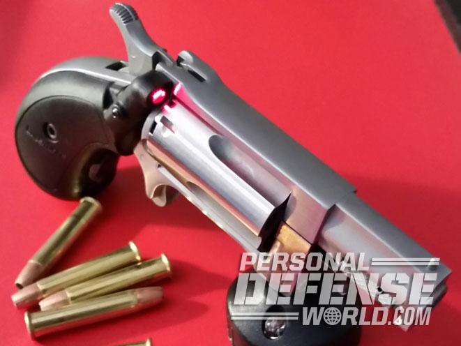 Gun Review: NAA Sidewinder with LaserLyte Mighty Mouse