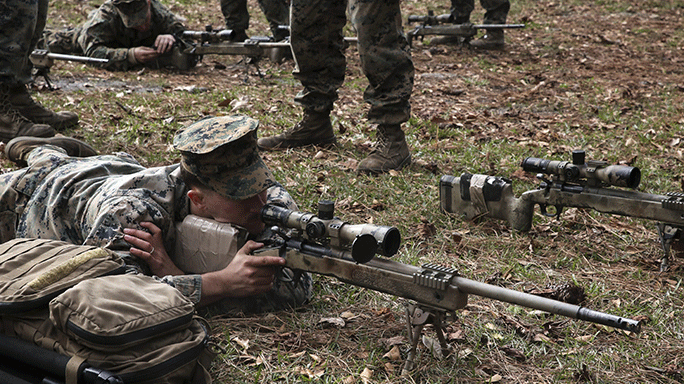 Marine Division Combat Skills Center Starts Pre-Scout Sniper Course ...
