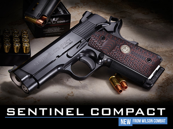 An Introduction To Wilson Combat's Sentinel Compact Pistol