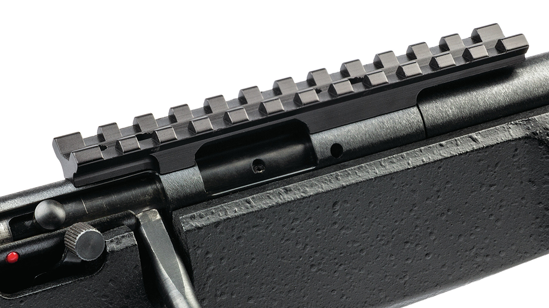 How Does the Savage Arms Rascal Target Rifle Rank Amongst Rimfires?